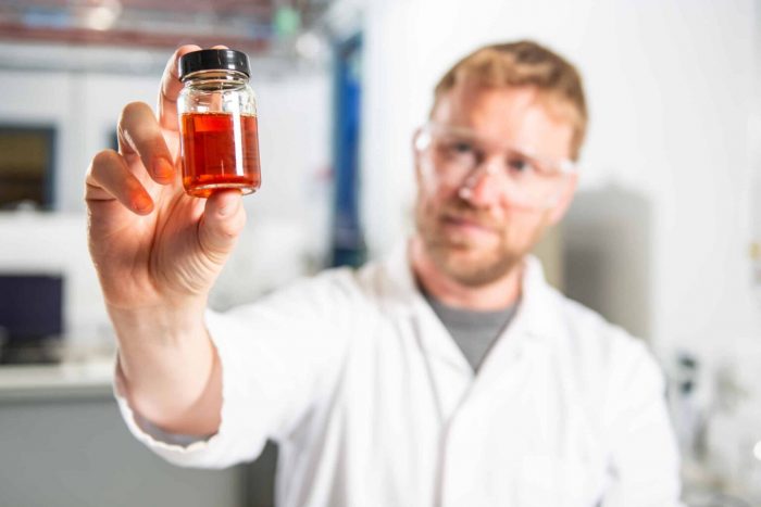 Clean Food Group capta £ 2.5mi para lançar alternativa ao óleo de palma